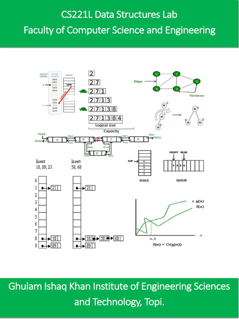 Cs221l Data Structures And Algorithms Lab Manual Pdf Pointer Computer Programming