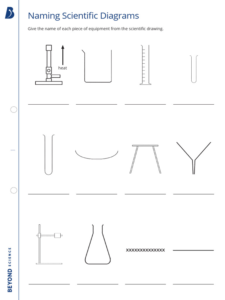 Naming Scientific Diagrams Worksheet | PDF