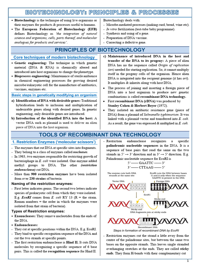 Principles of Biotechnology | PDF | Plasmid | Restriction Enzyme