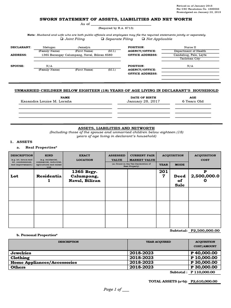 2015 SALN Form | PDF | Net Worth | Economies