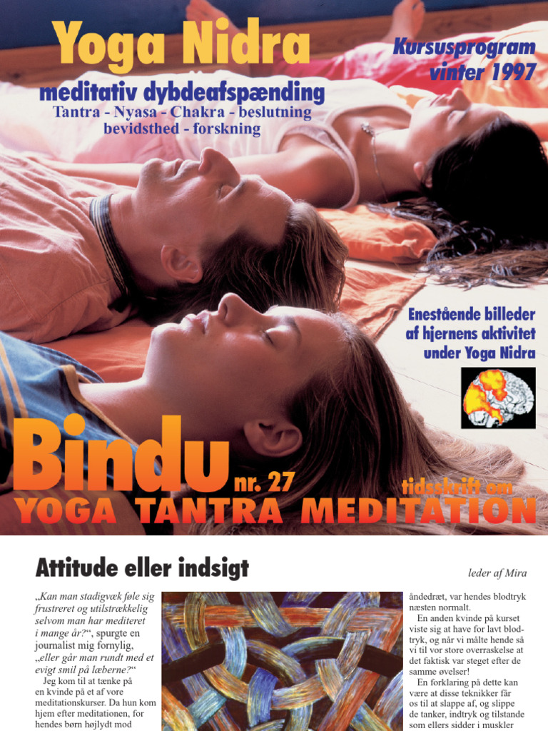 Bindu No. 27 | PDF