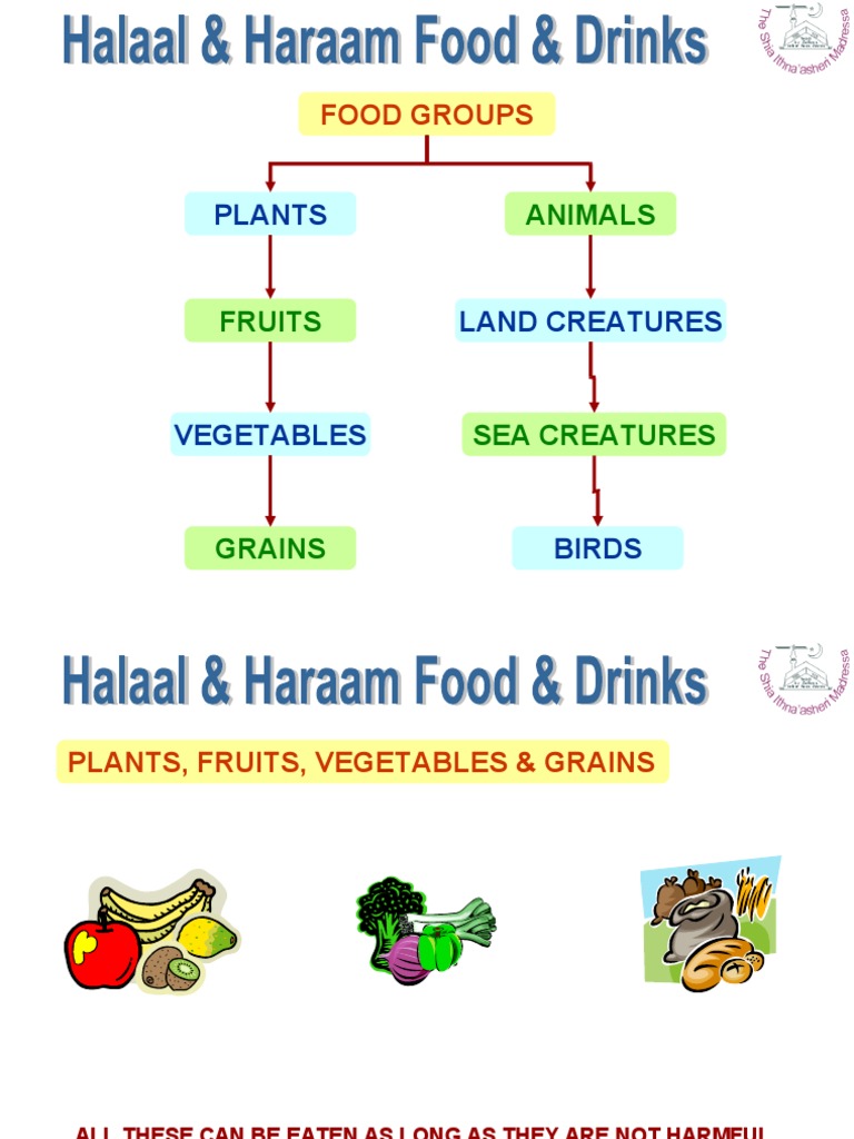 Halalharaamfoods | PDF