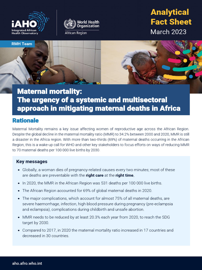 iAHO Maternal Mortality Regional Factsheet | PDF