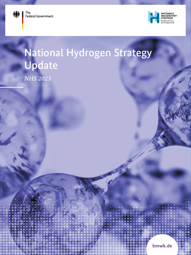 Germany - National Hydrogen Strategy Update | PDF | Renewable Energy ...