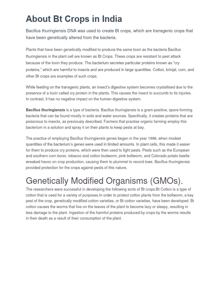 About BT Crops in India | PDF | Genetically Modified Crops | Agriculture