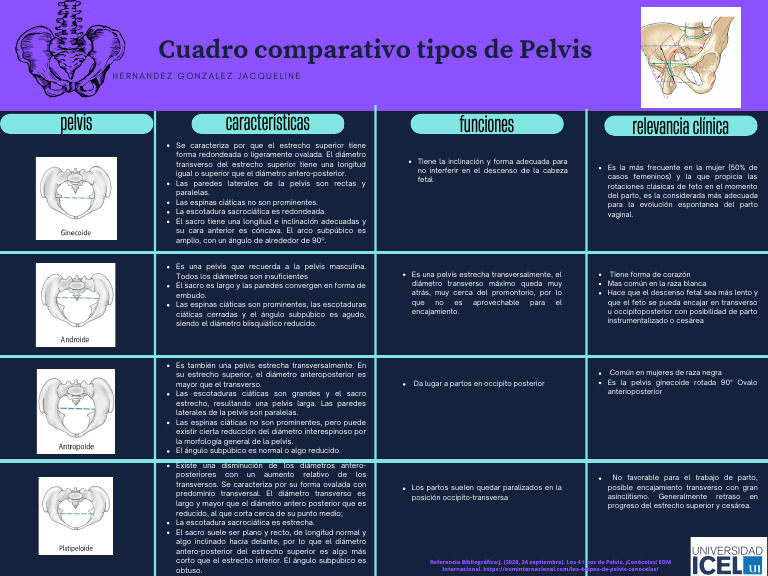 Tipos de Pelvis | PDF | Pelvis | Parto