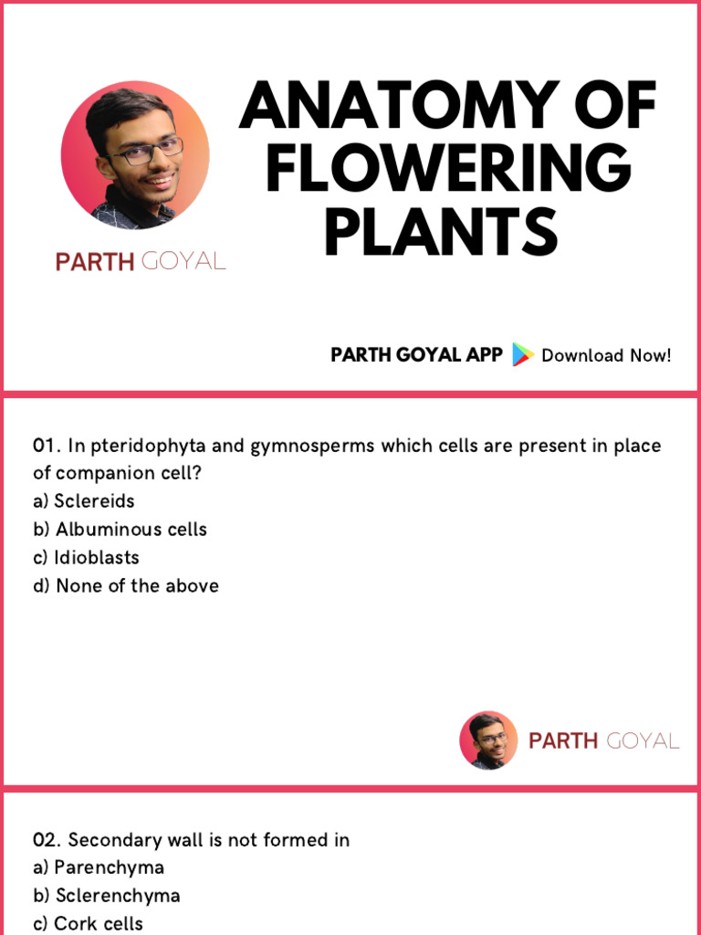 Anatomy of Flowering Plants | PDF