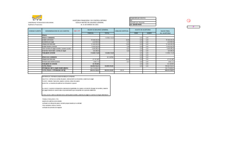 Cedula Matriz | PDF | Auditoría | Servicios financieros