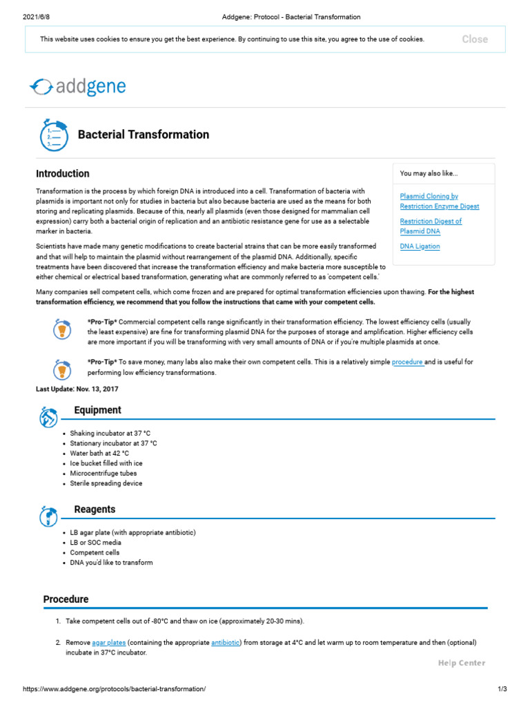 Addgene Protocol Bacterial Transformation Pdf