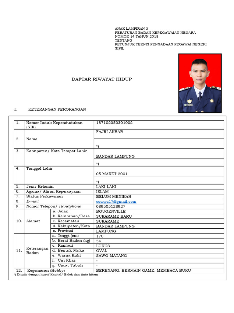 Form DRH (Daftar Riwayat Hidup) CPNS | PDF
