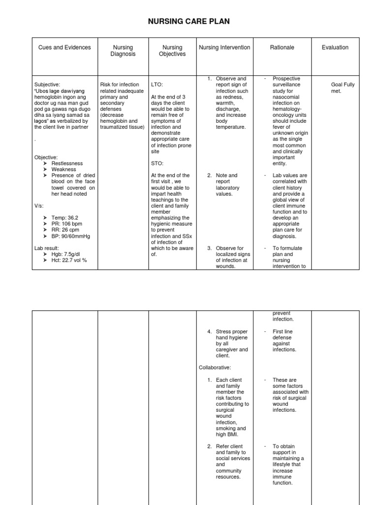 Nursing Care Plan | Download Free PDF | Medicine | Diseases And Disorders