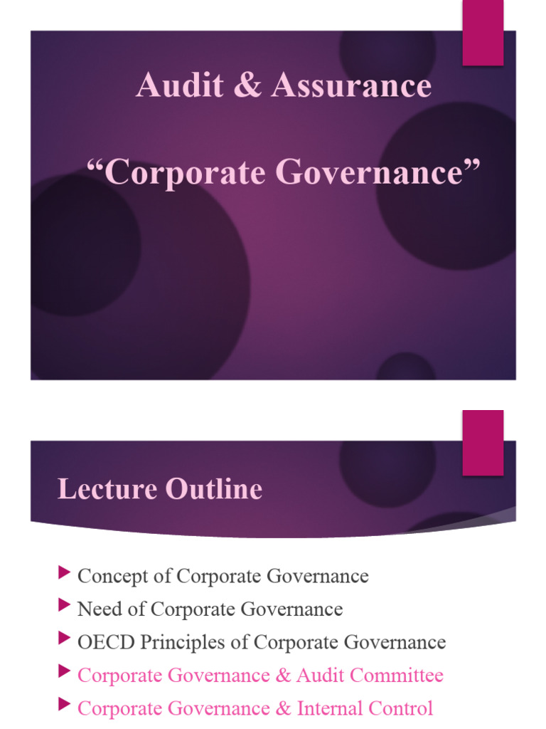 Corporate Governance and Audit Committee Insights | PDF | Finance ...