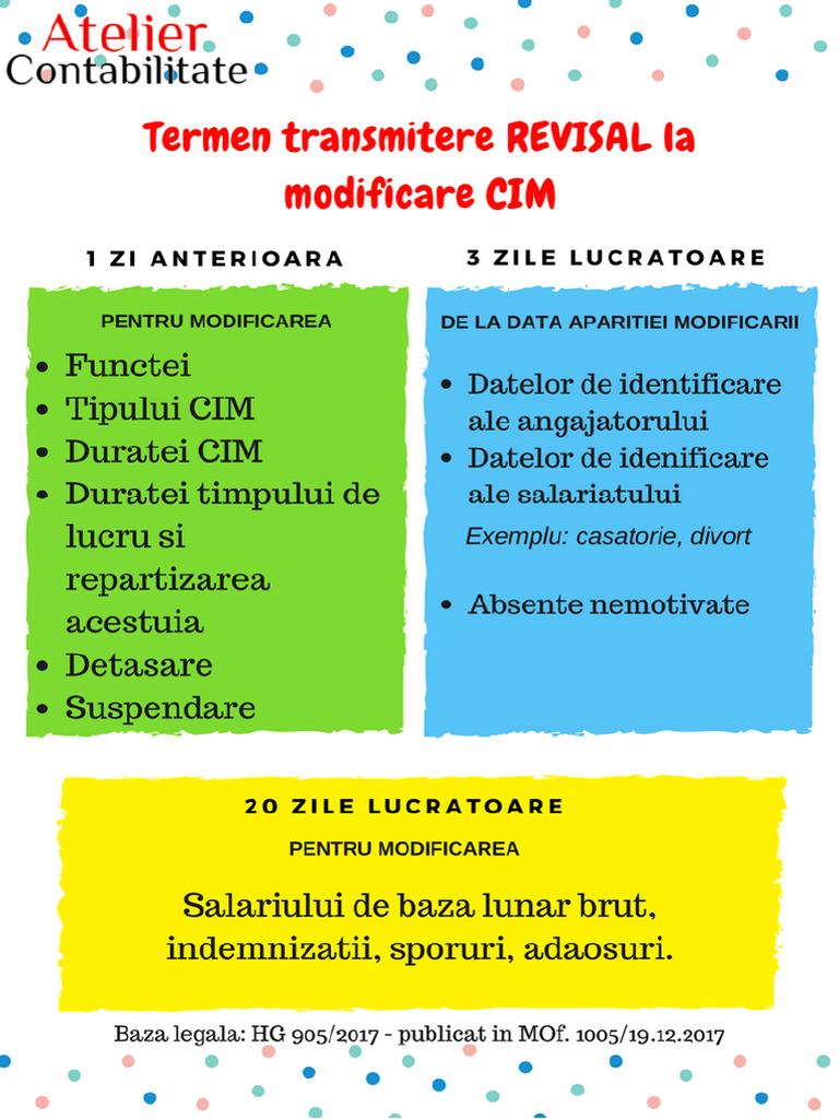 Termene Revisal | PDF
