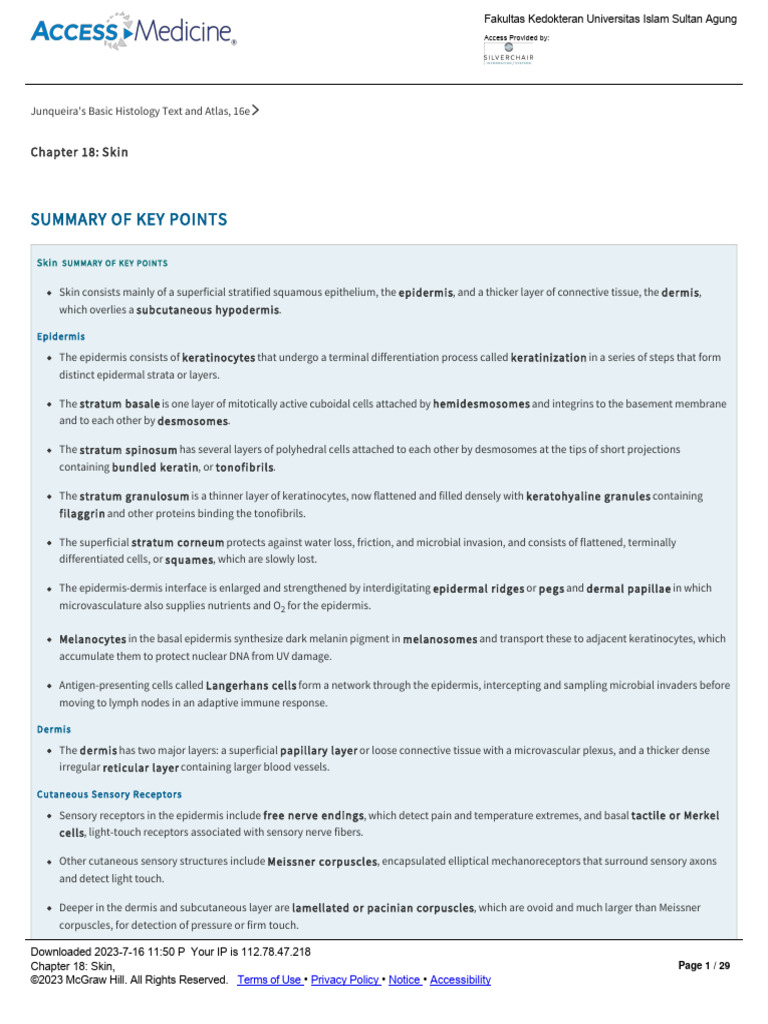 Chapter 18 - Skin | PDF | Skin | Epidermis