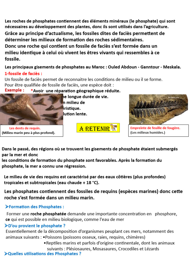 P2 1 APIC Chapitre3 Activité3 | PDF