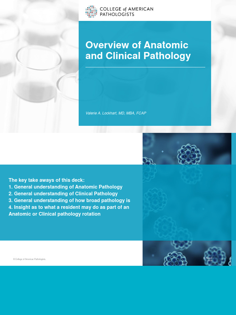 Overview Anatomic Clinical Pathology Medical Students | PDF | Pathology ...