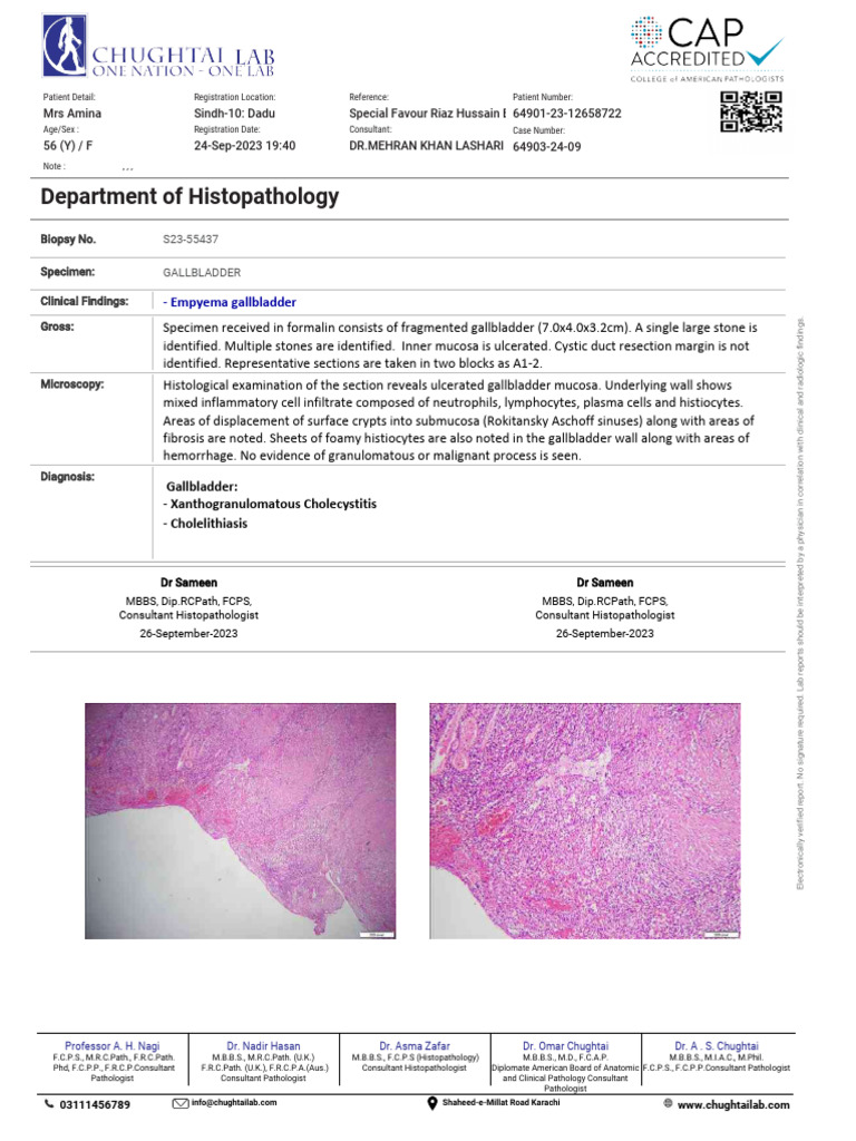 Report Viewer | PDF | Histopathology | Pathology