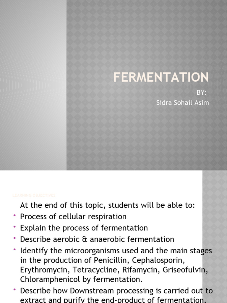 Fermentation Final | PDF | Cellular Respiration | Fermentation