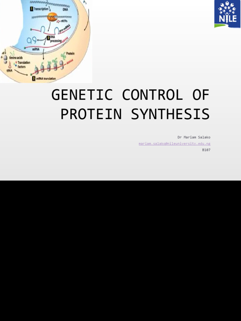 Genetic Control of Protein Synthesis | PDF | Rna | Dna