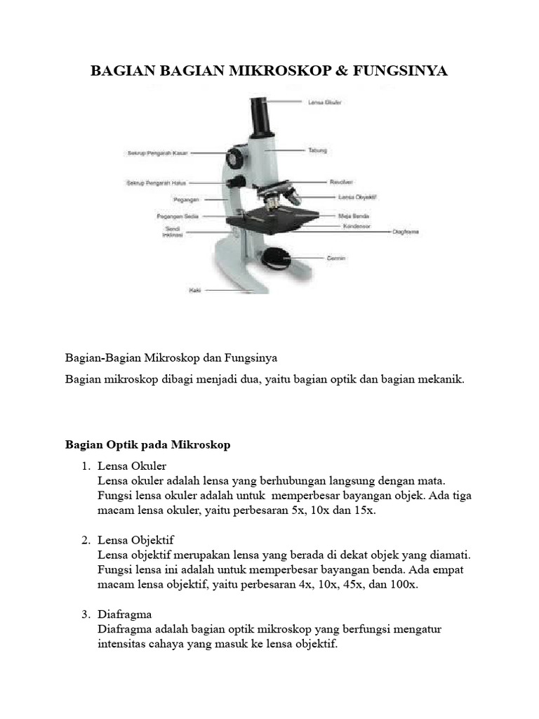 Biologi Mikroskop | PDF