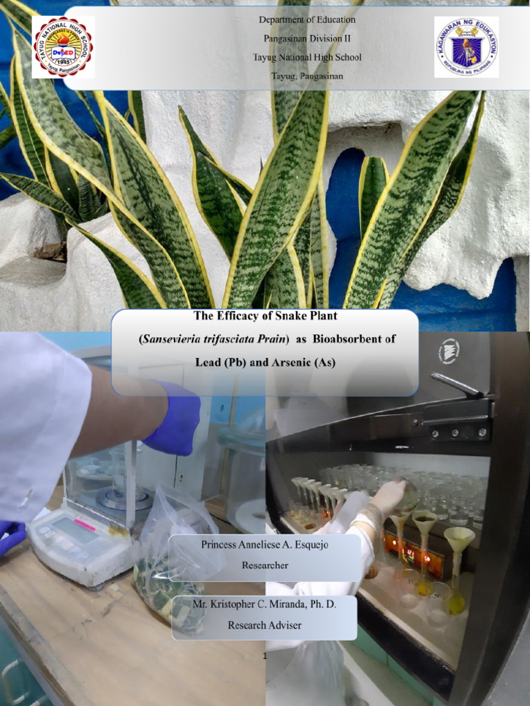 Final SIP2021 | PDF | Atomic Absorption Spectroscopy | Lead