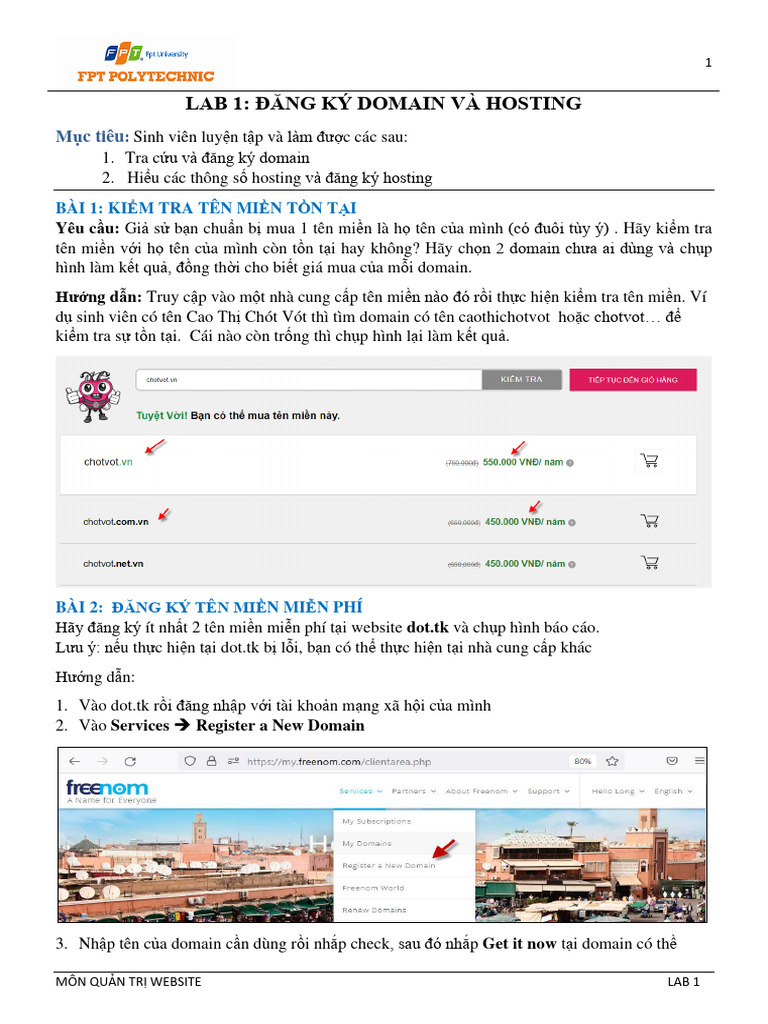 Lab1-Đăng Ký Domain Và Hosting | PDF