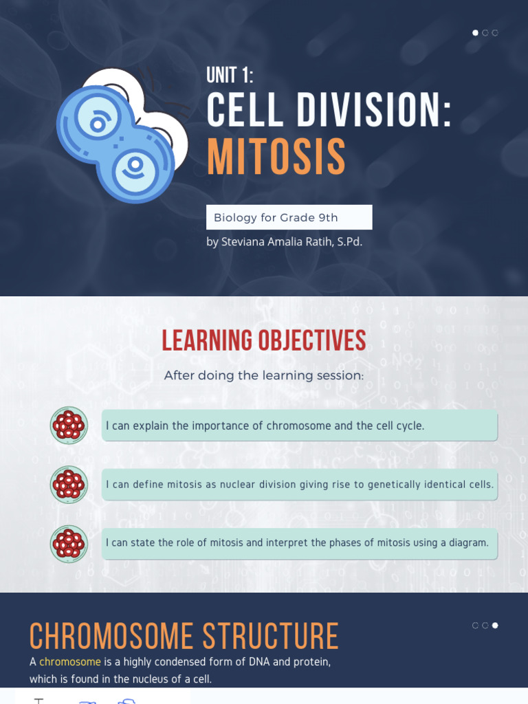 Understanding Mitosis in Cell Division | PDF
