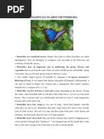 Classroom Butterfly Camouflage Activity | PDF | Camouflage | Mimicry