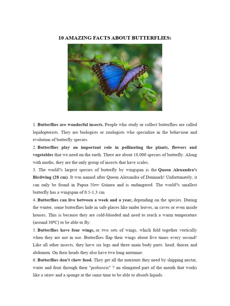 10 Amazing Facts About Butterflies | PDF | Butterfly | Pupa