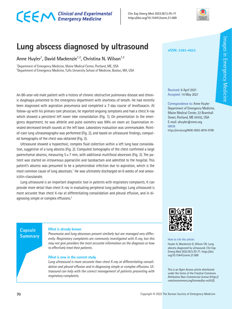 Usg Abses Paru | PDF | Pneumonia | Epidemiology