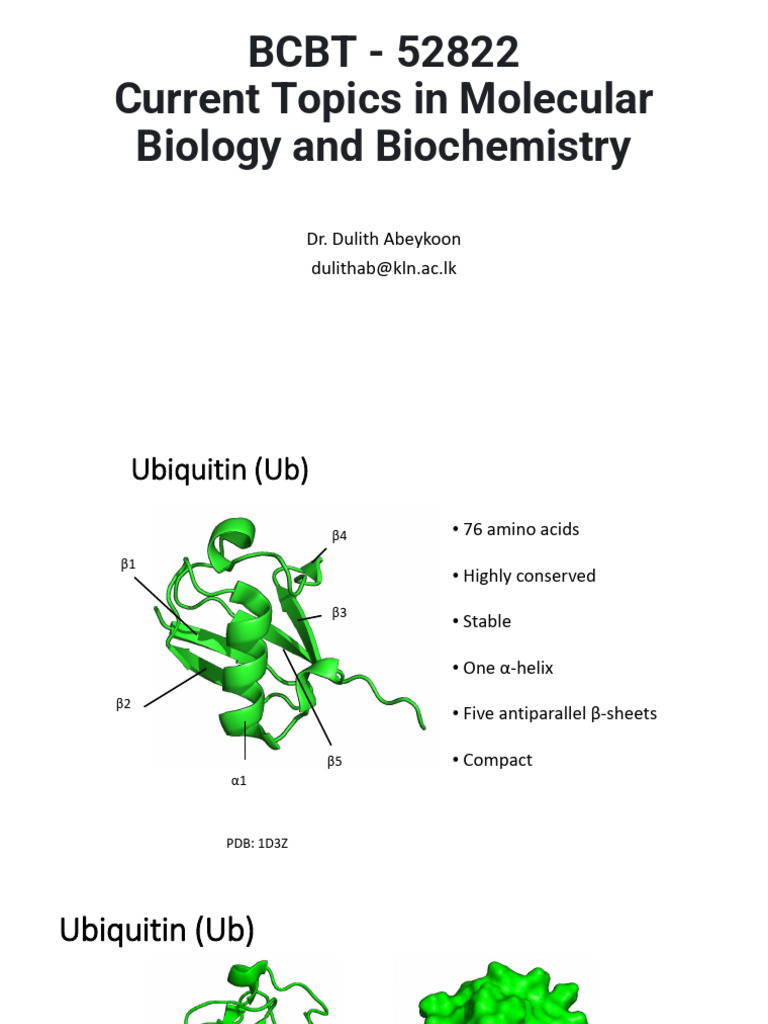 BCBT-52822 - Lecture - Dulith Abeykoon | PDF | P53 | Cell Cycle