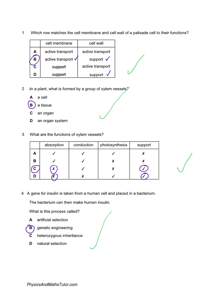 Organisation of The Organism (Multiple Choice) 1 QP | PDF | Tissue (Biology) | Cell (Biology)
