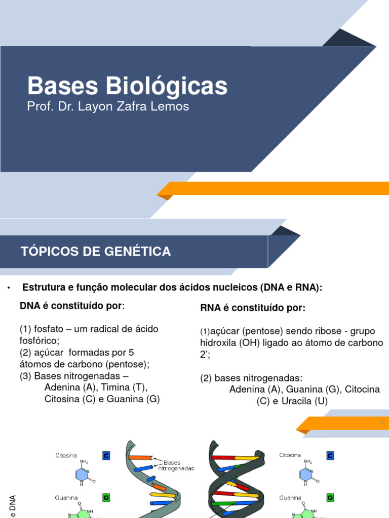 Slide Aula 3 | PDF | Gene | DNA