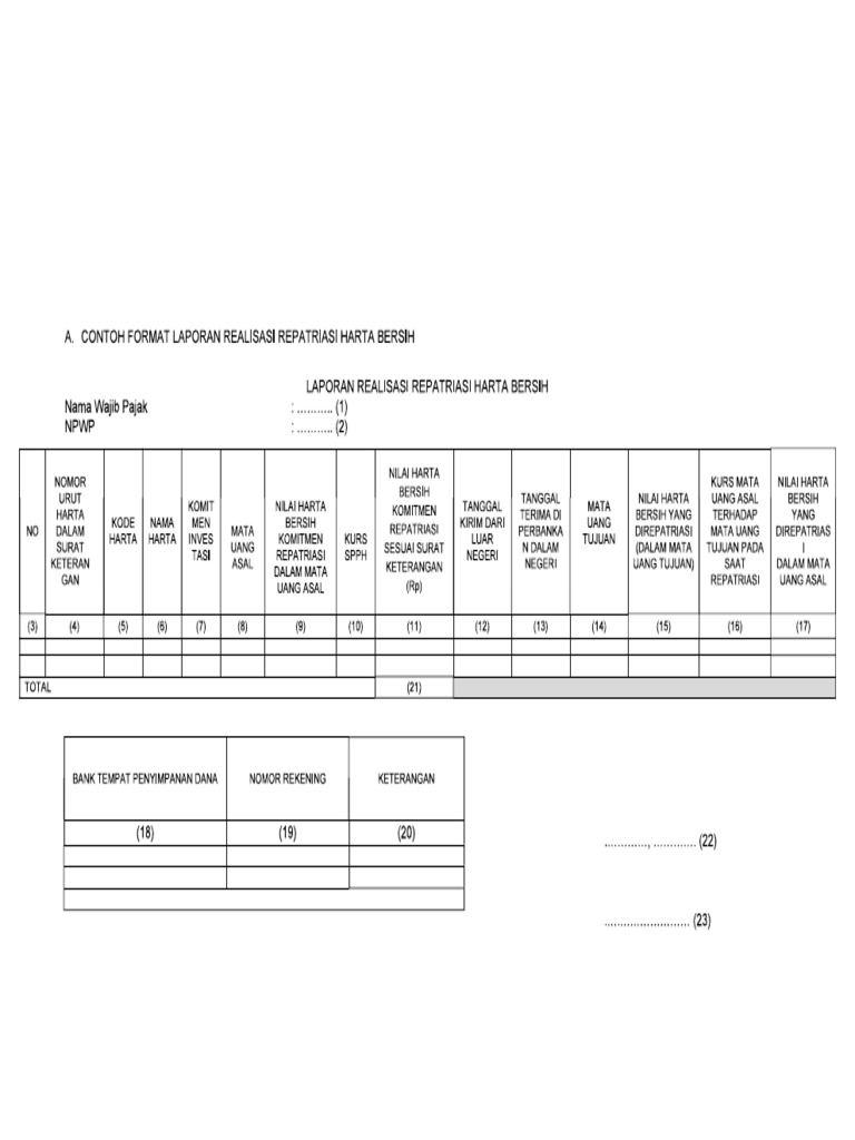 Formulir Laporan Realisasi Repatriasi Dan Investasi | PDF