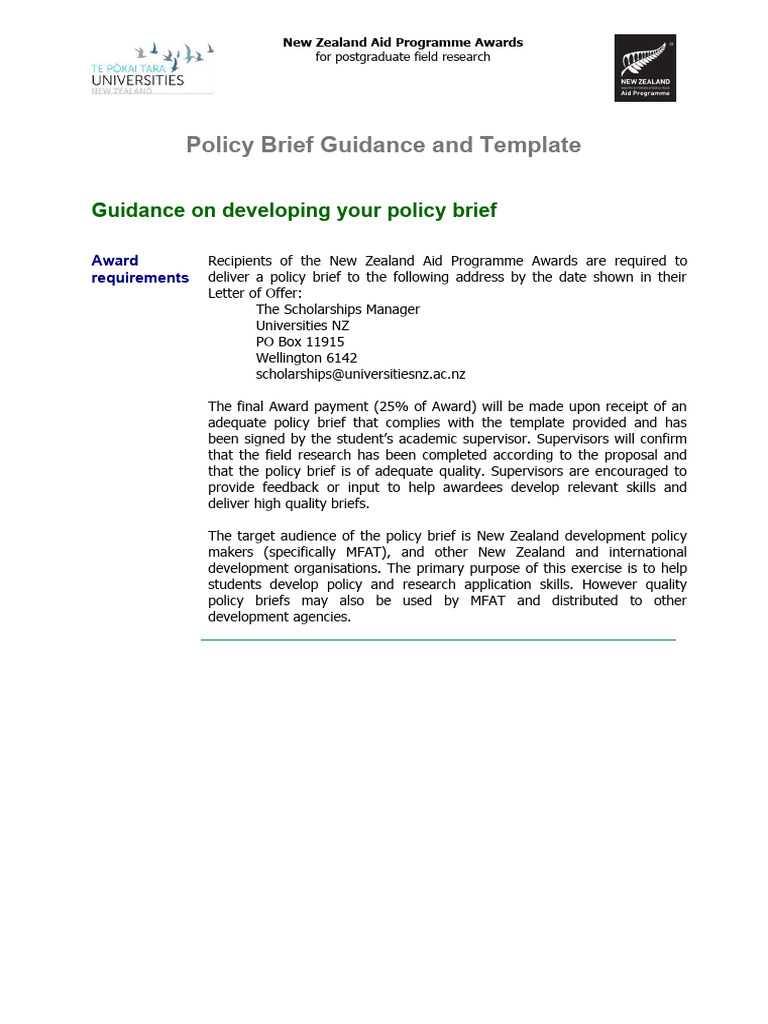Policy Brief Template 03 | PDF | Policy | Experience