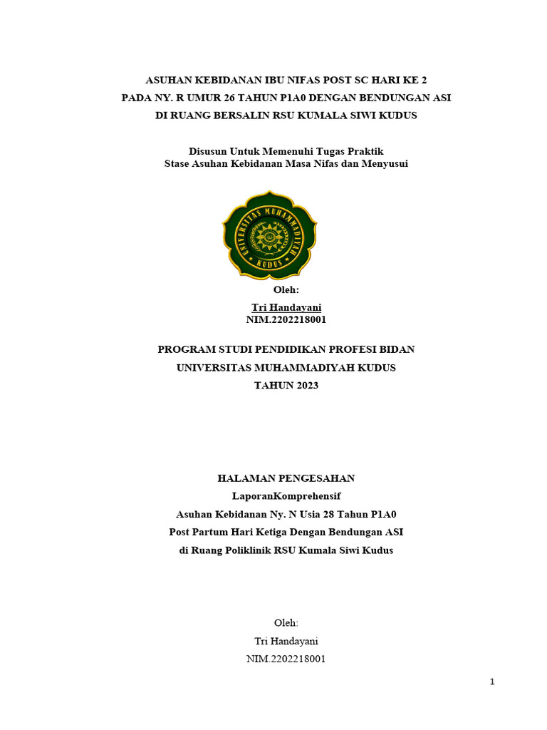 Asuhan Kebidanan Ibu Nifas Post SC Hari Ke 2 | PDF