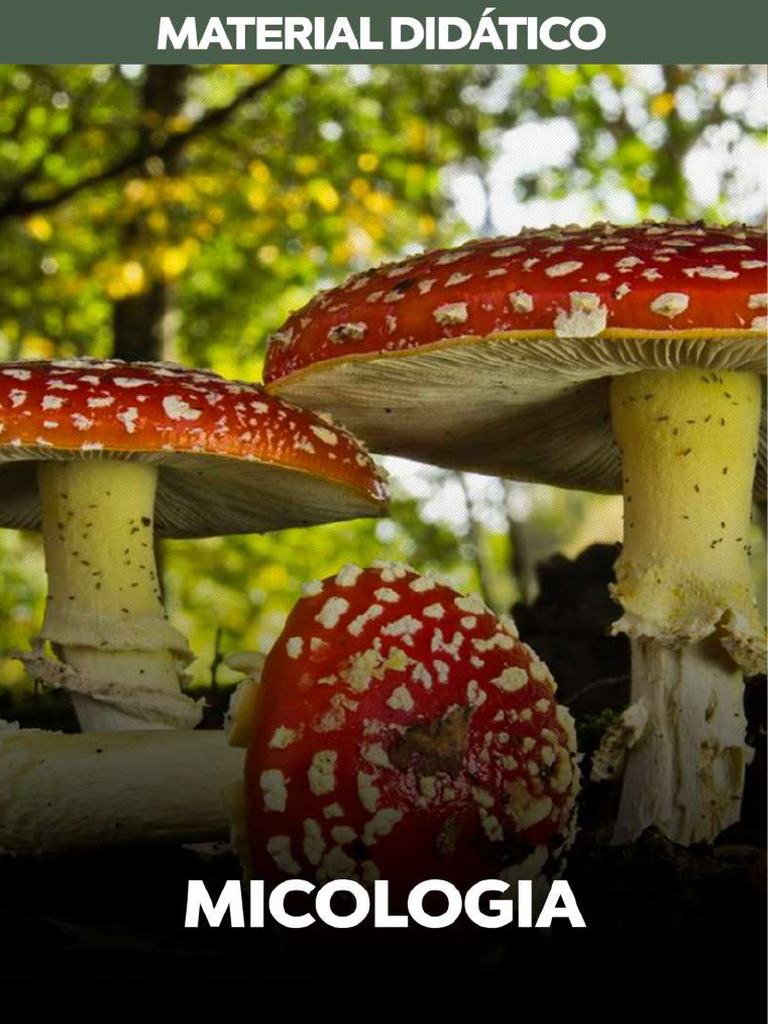 MICOLOGIA | PDF | Fungo | Candidíase