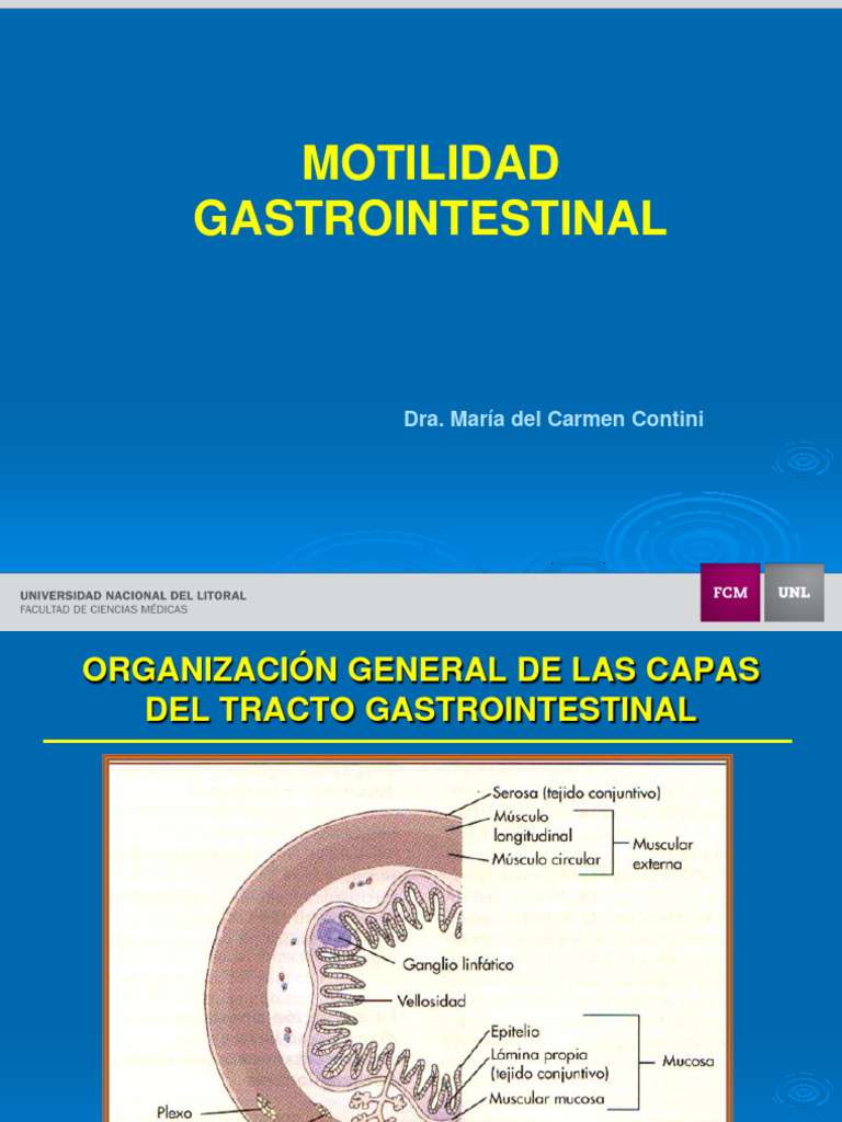II - Diapositivas de Fisiología de La Motilidad Gastrointestinal | PDF ...