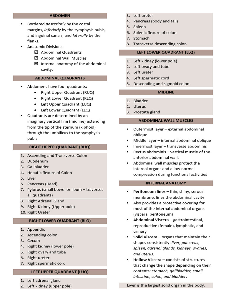 Abdomen | PDF | Abdomen | Medical Specialties