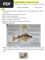 Ryby Głębinowe | PDF