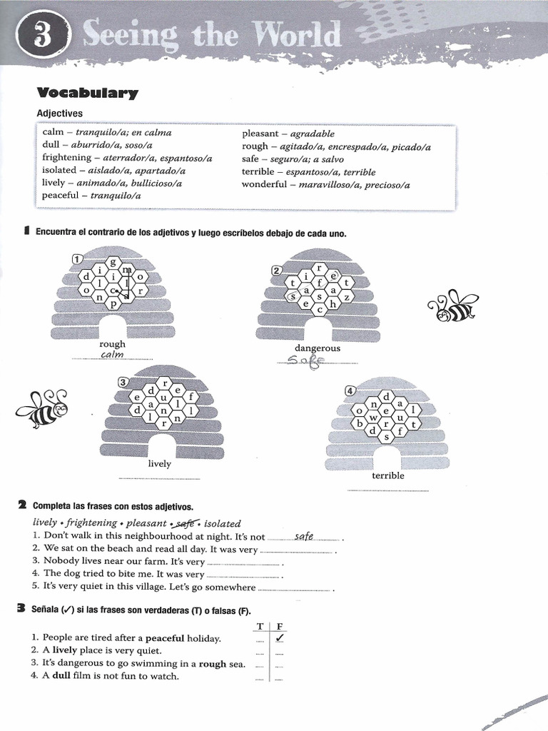 Unit 3 - Seeing The World-1 | PDF