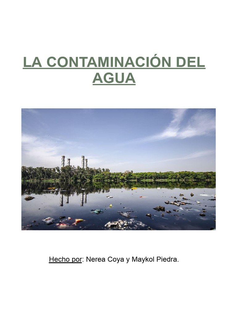 Causas y Consecuencias de la Contaminación del Agua | PDF | La ...