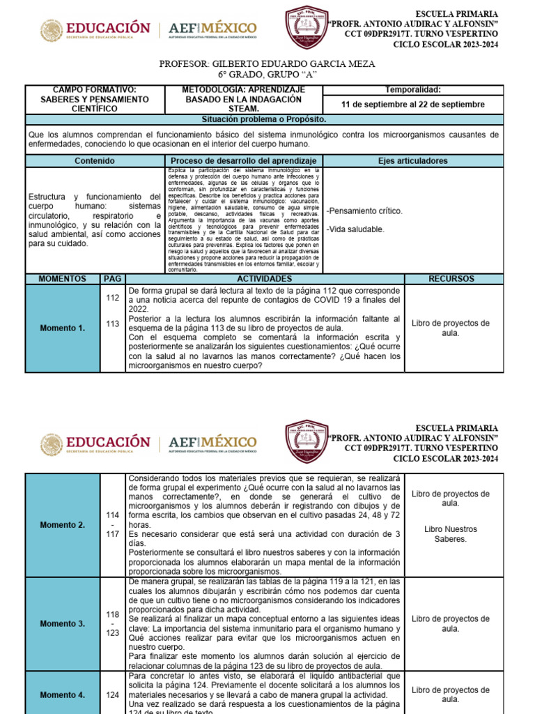 Planeación Saberes | PDF | Sistema inmune | Educación primaria