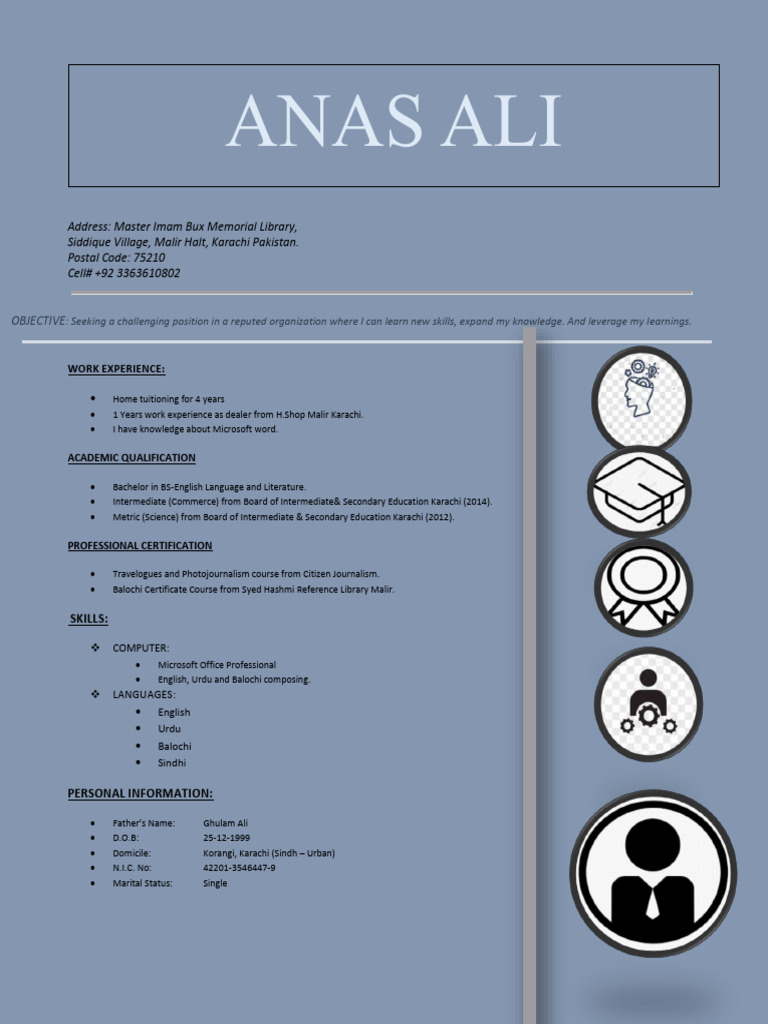 Anas Ali: Profile and Qualifications | PDF
