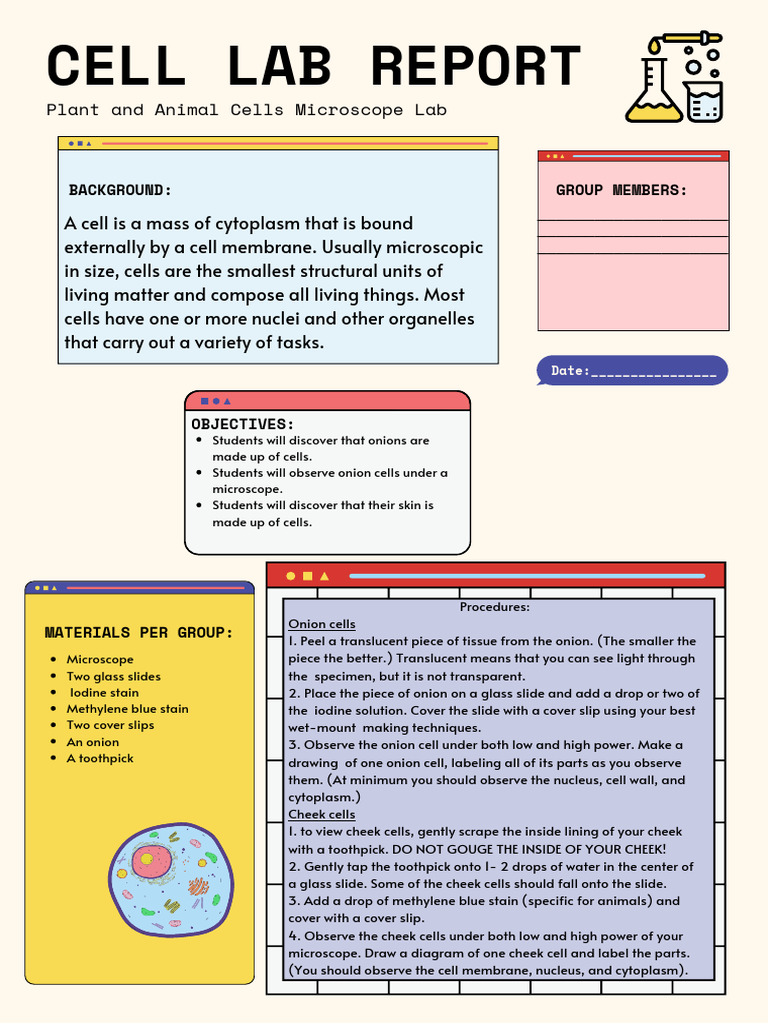 Cell Lab Report | PDF | Cell (Biology) | Staining