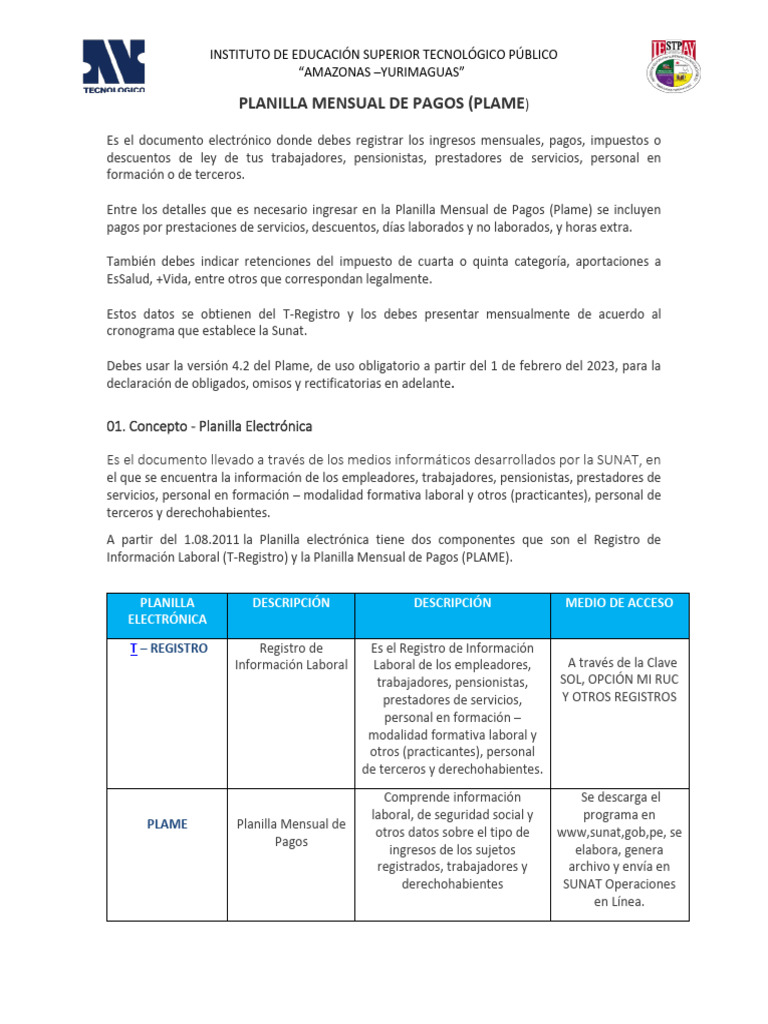 Planilla Mensual de Pagos (Plame) | PDF | Pensión | Derecho laboral