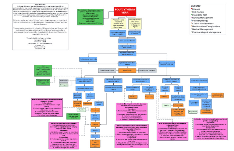 Concept Map - Polycythemia Vera | PDF | Medicine | Tissue (Biology)