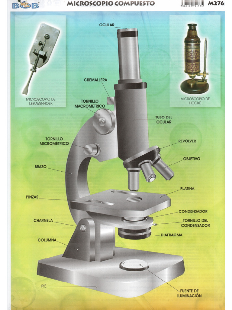 Microscopio Compuesto | PDF