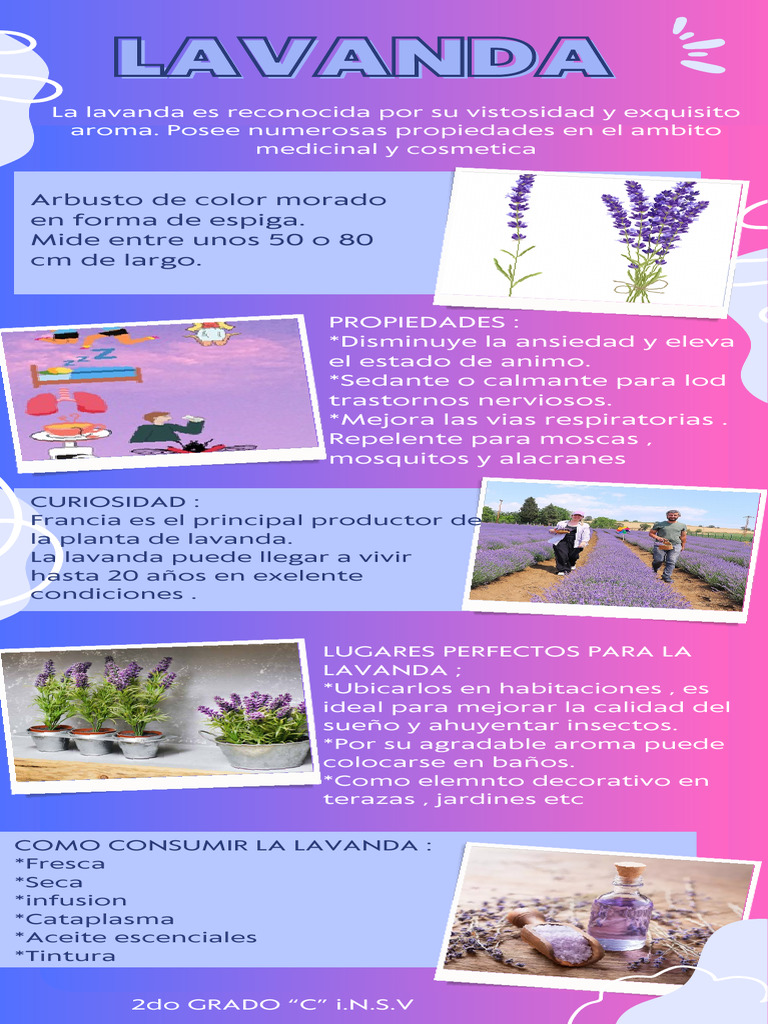 Infografia Facil de Usar Moderna Simple Azul | PDF