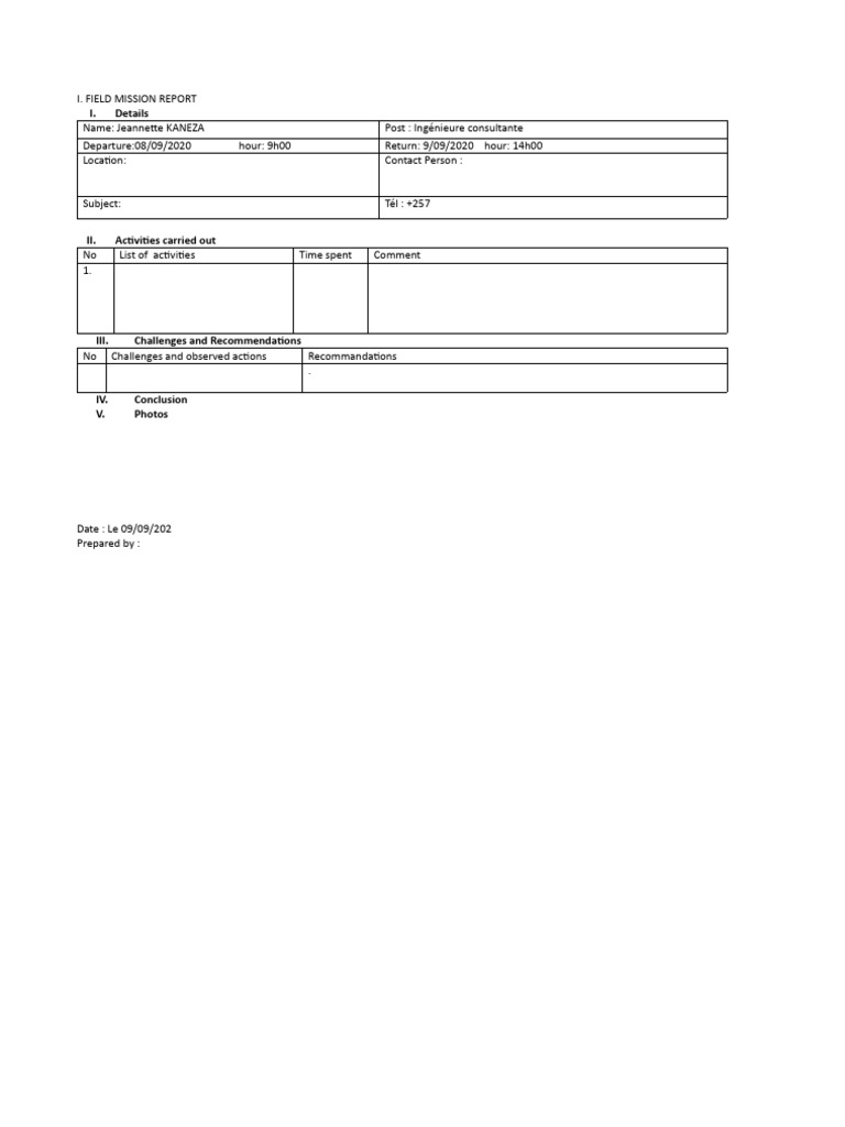 Canevas Du Rapport de Mission - FIADI | PDF